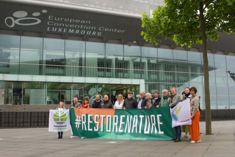 Sohanur Rahman on LinkedIn: #europe #restorenature Sohanur Rahman on LinkedIn: #europe #restorenature