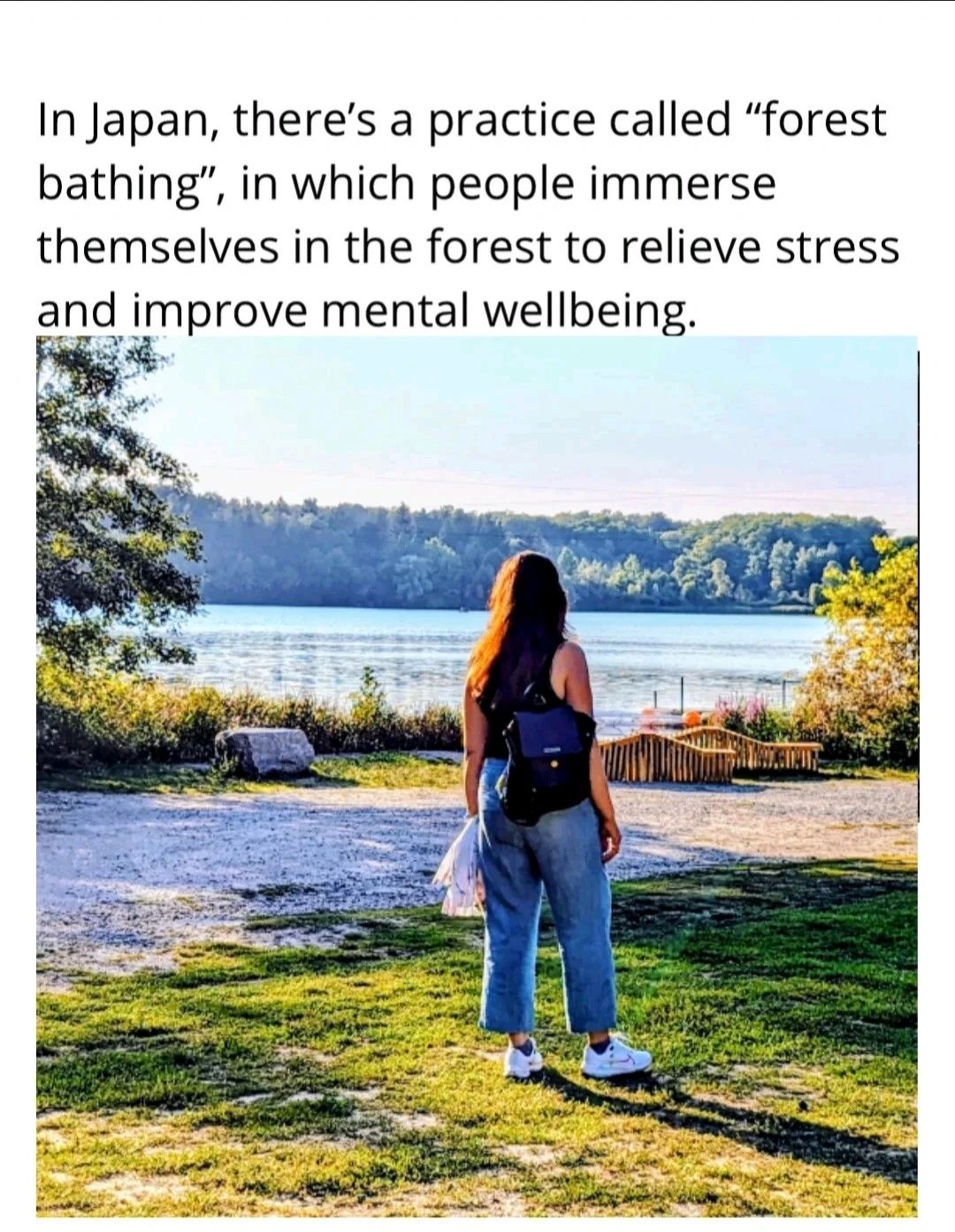 Dr. Kusum Sindhu on LinkedIn: forest bathing! Dr. Kusum Sindhu on LinkedIn: forest bathing!