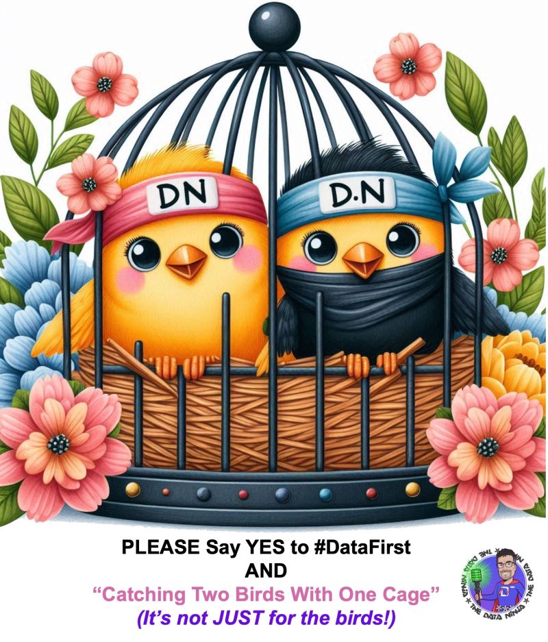 PEDRO CARDOSO - The Data Ninja 🥷 on LinkedIn: #dataninja #data #datafirst PEDRO CARDOSO - The Data Ninja 🥷 on LinkedIn: #dataninja #data #datafirst