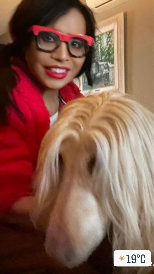 Lana Do, MBA, M.Econ, CPC on LinkedIn: Thinking of adopting a pet for ... Lana Do, MBA, M.Econ, CPC on LinkedIn: Thinking of adopting a pet for ...