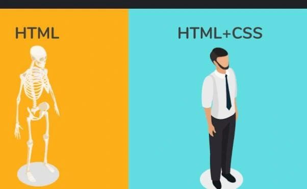 Kinza Khan on LinkedIn: #css #style #webdevelopment | 24 comments Kinza Khan on LinkedIn: #css #style #webdevelopment | 24 comments