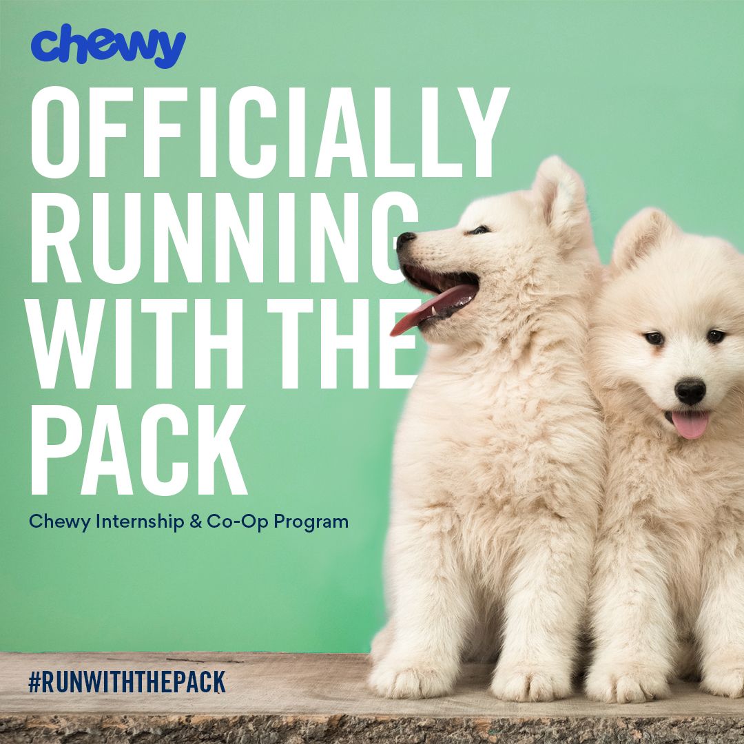 Arpita Jain on LinkedIn: #runwiththepack #lifeatchewy | 13 comments Arpita Jain on LinkedIn: #runwiththepack #lifeatchewy | 13 comments