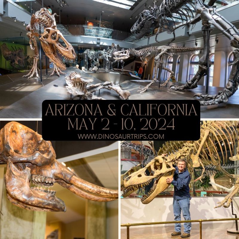 Exploring Achelousaurus Exhibits: A Visitor'S Guide Exploring Achelousaurus Exhibits: A Visitor'S Guide