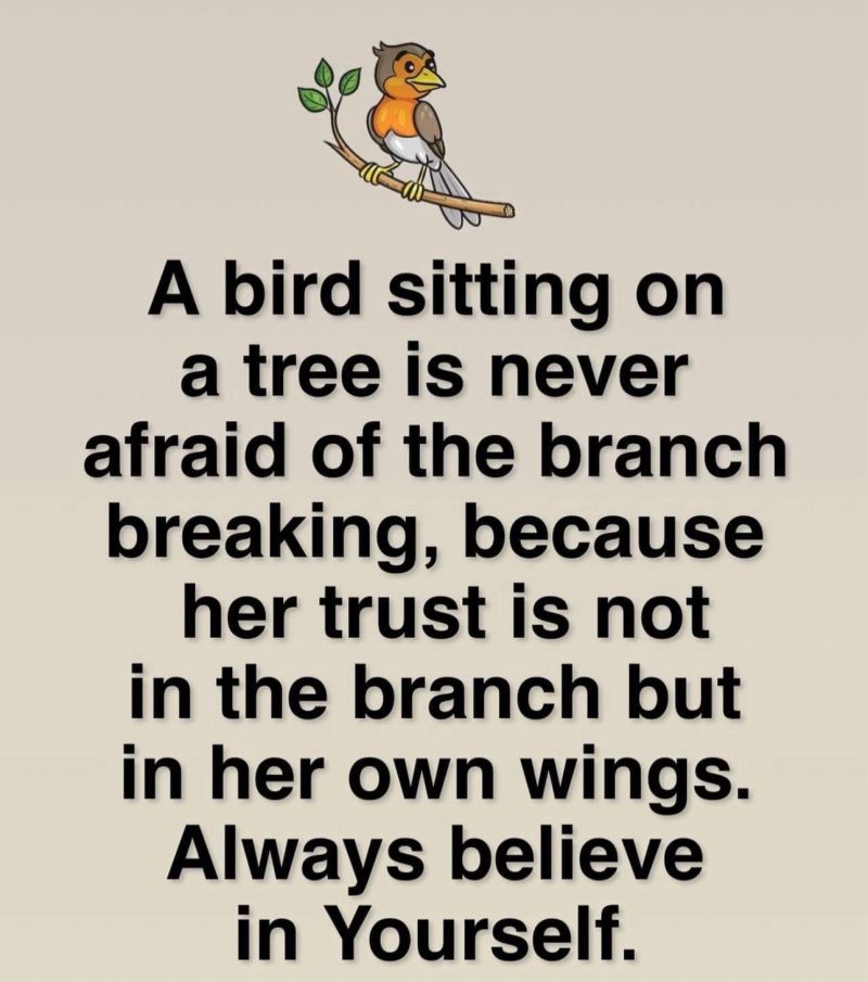 Arpit Agrawal on LinkedIn: #believeinyourself #motivationquotes Arpit Agrawal on LinkedIn: #believeinyourself #motivationquotes