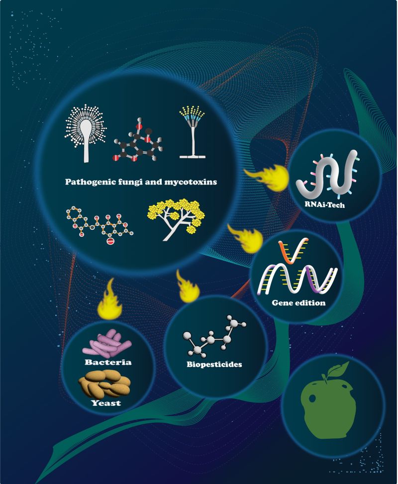 Esa A. Godana, PhD on LinkedIn: #newskill #adobeillustrator #ai # ... Esa A. Godana, PhD on LinkedIn: #newskill #adobeillustrator #ai # ...
