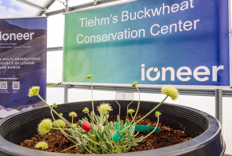 Tamer Atiba P.Eng M.Eng on LinkedIn: New Ioneer Conservation Center ... Tamer Atiba P.Eng M.Eng on LinkedIn: New Ioneer Conservation Center ...