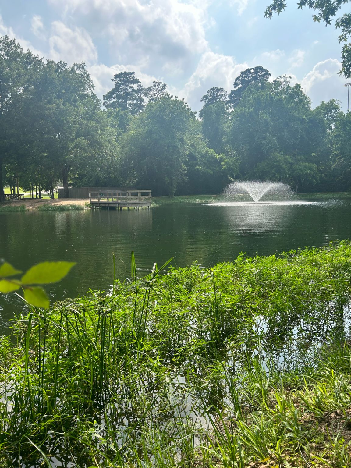 Loretta Miller BSN, RN, LNC on LinkedIn: #nature #grateful # ... Loretta Miller BSN, RN, LNC on LinkedIn: #nature #grateful # ...