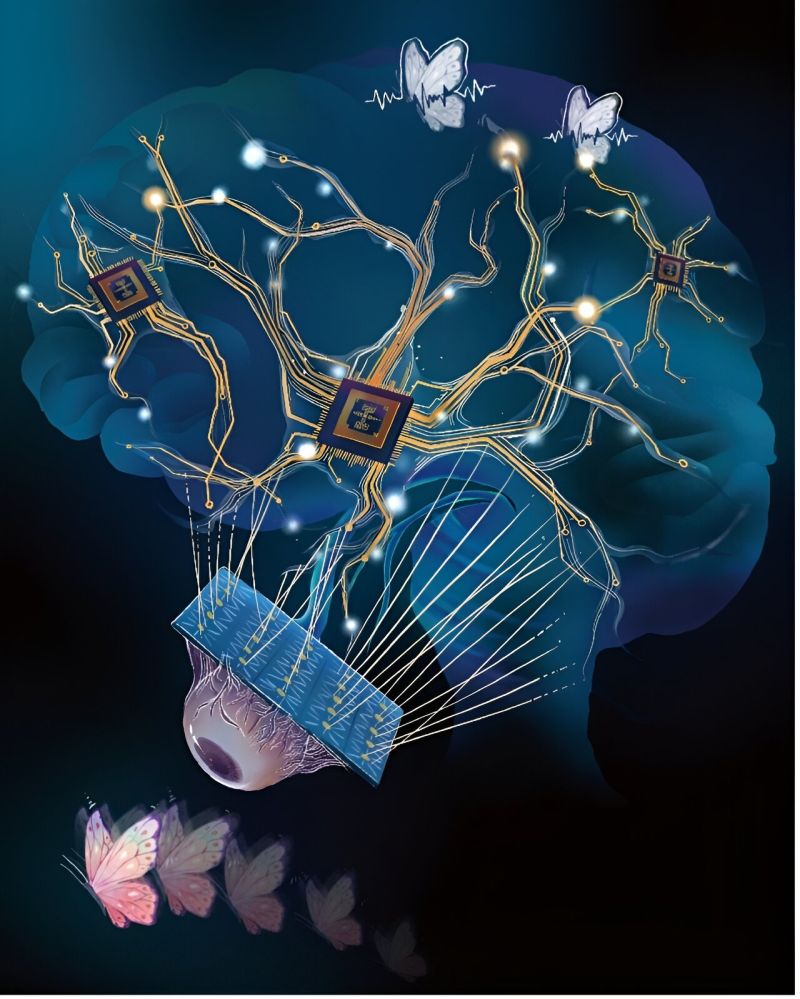 Preeti Cholleti on LinkedIn: Innovative artificial neural circuit ... Preeti Cholleti on LinkedIn: Innovative artificial neural circuit ...