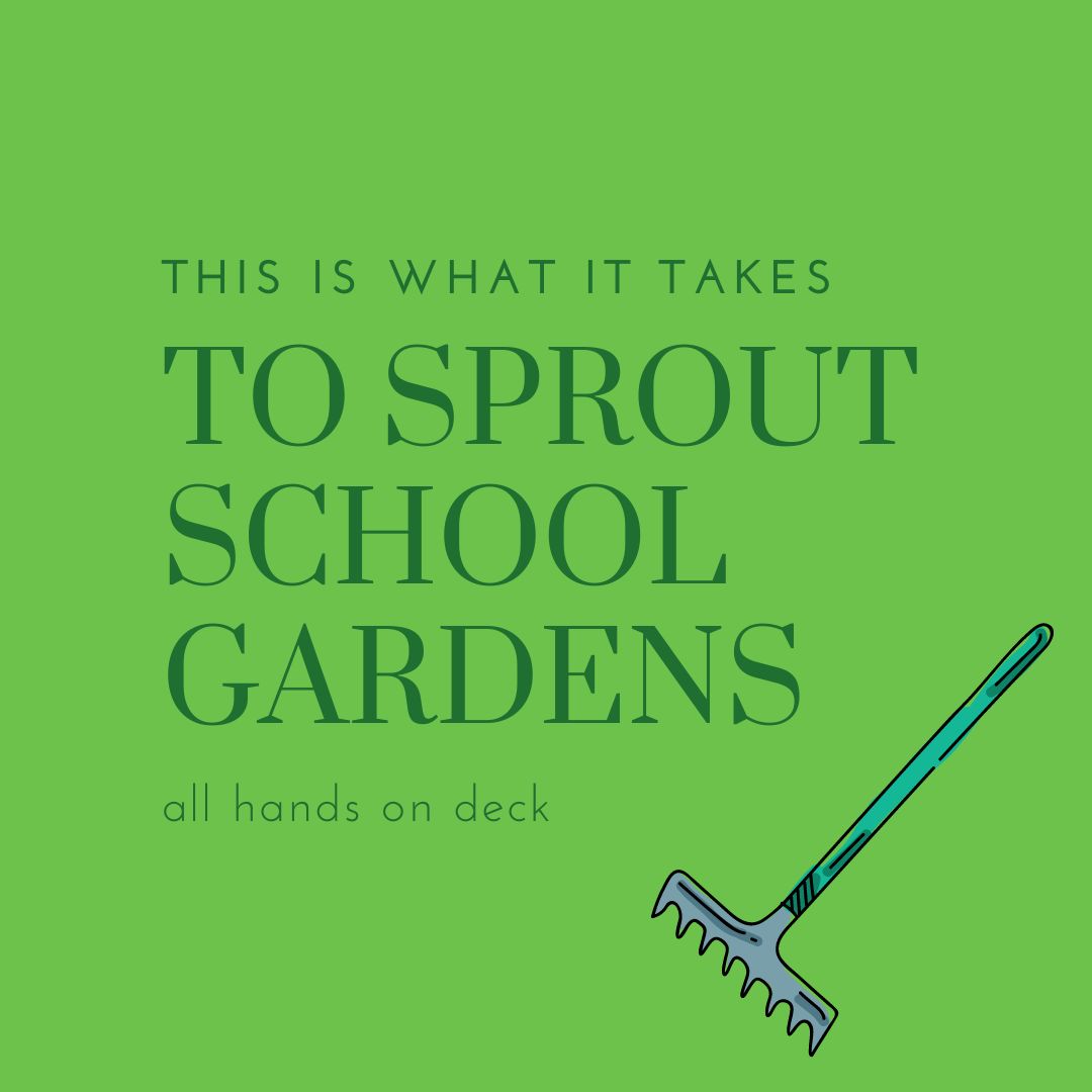 Sprouts Healthy Communities Foundation on LinkedIn: The Sprouts Healthy ... Sprouts Healthy Communities Foundation on LinkedIn: The Sprouts Healthy ...