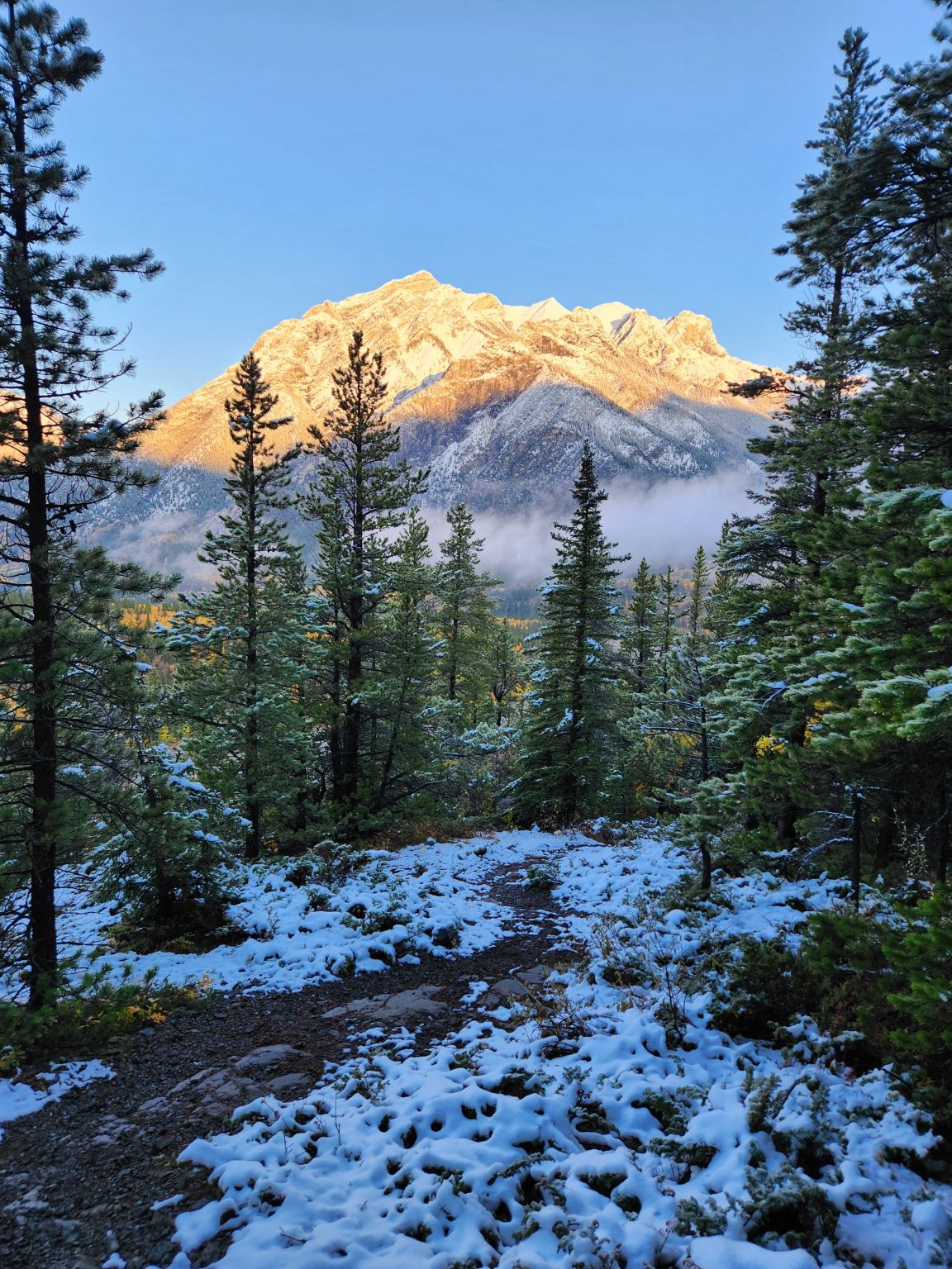 John Brandwagt on LinkedIn: Happy Earth Day John Brandwagt on LinkedIn: Happy Earth Day
