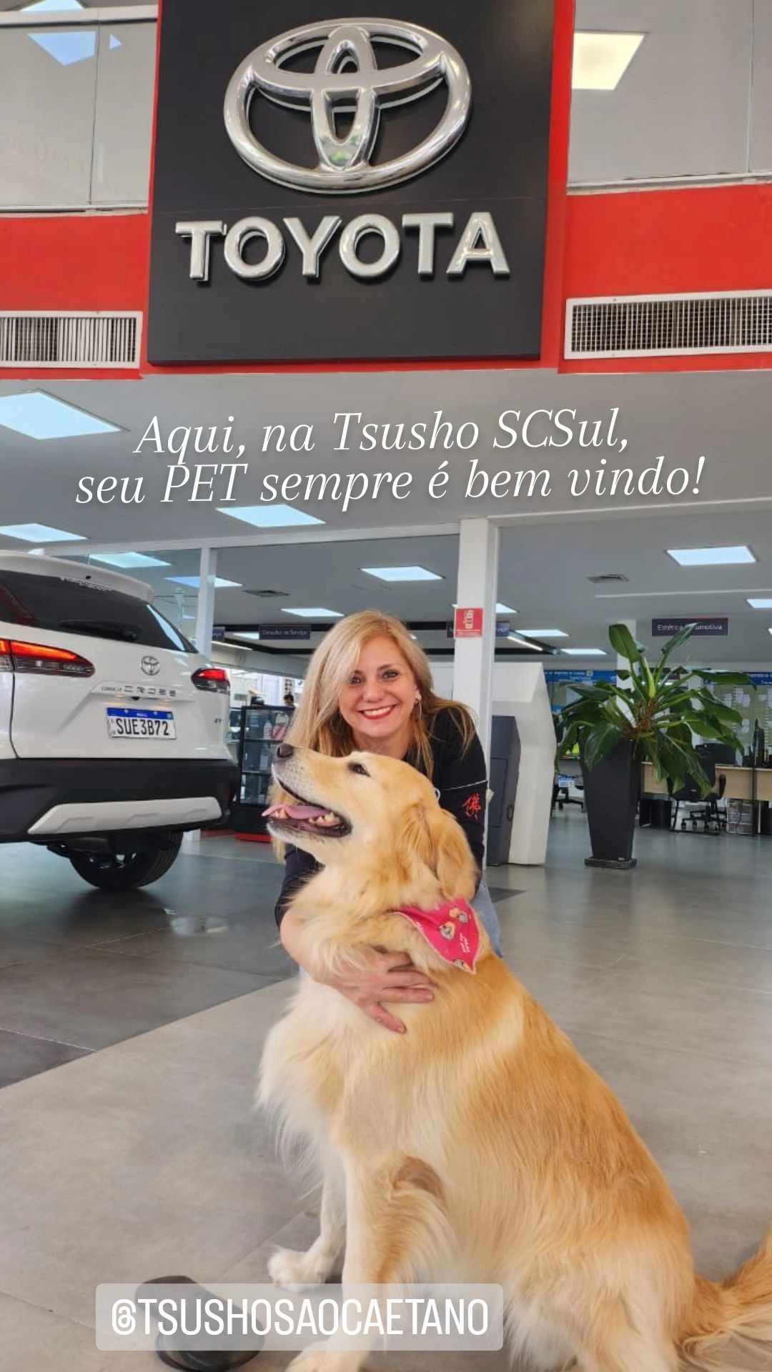Maria Carolina Caparelli Caramez posted on LinkedIn Maria Carolina Caparelli Caramez posted on LinkedIn