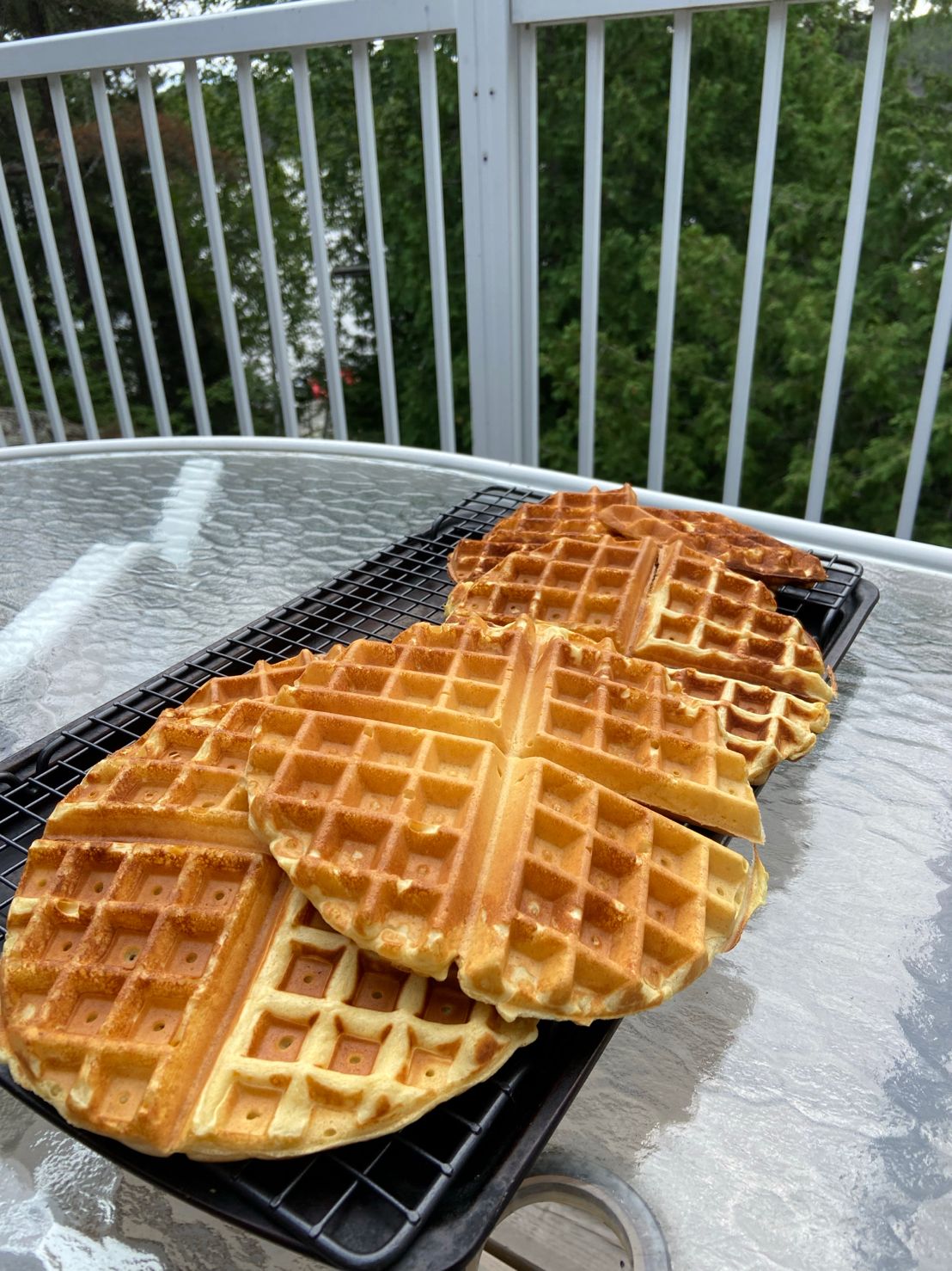 Lupin Platform Inc on LinkedIn: #lupin #pancakes #muffins #waffles # ... Lupin Platform Inc on LinkedIn: #lupin #pancakes #muffins #waffles # ...