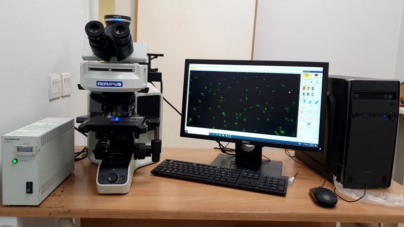 Waseem Aslam on LinkedIn: Olympus BX43 florescent Microscope installed ... Waseem Aslam on LinkedIn: Olympus BX43 florescent Microscope installed ...