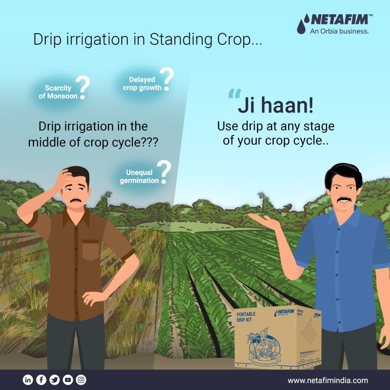 Netafim Irrigation India Pvt Ltd. on LinkedIn: #netafim #netafimindia # ... Netafim Irrigation India Pvt Ltd. on LinkedIn: #netafim #netafimindia # ...
