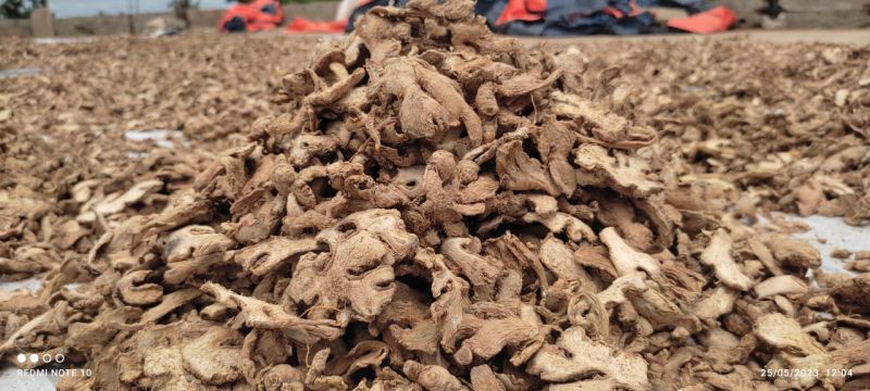 Discover the Authentic Flavors of Sahel Agri-Sol's Dried Ginger | Sahel ... Discover the Authentic Flavors of Sahel Agri-Sol's Dried Ginger | Sahel ...
