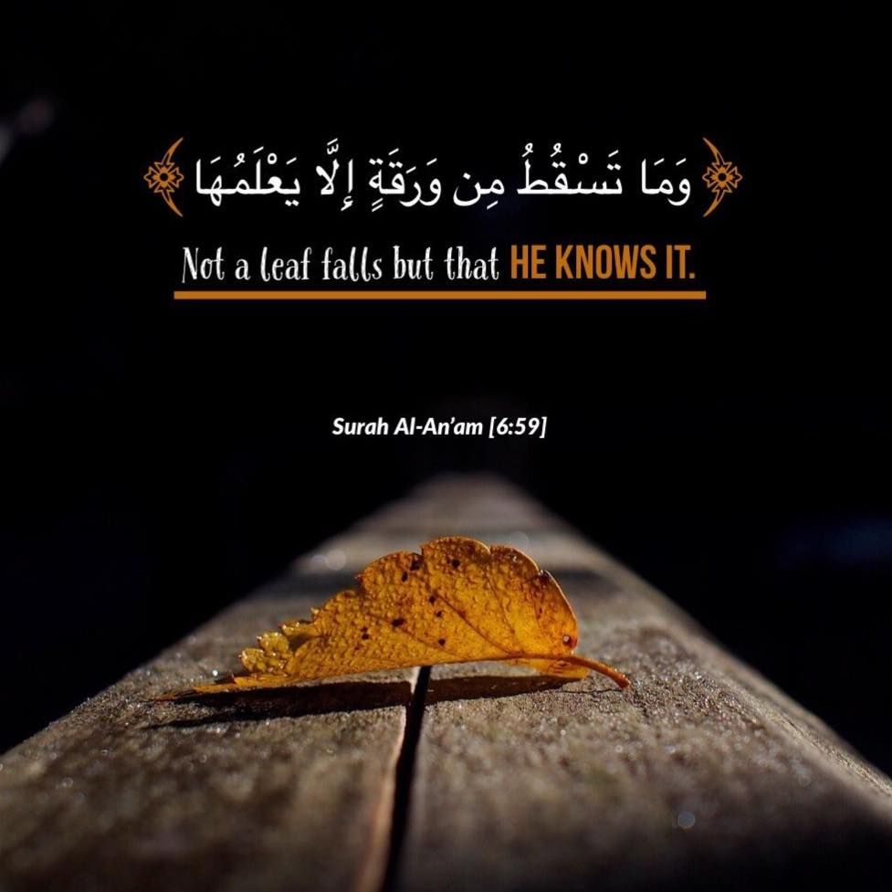 Muhammad Usman Ghani on LinkedIn: Indeed... Muhammad Usman Ghani on LinkedIn: Indeed...
