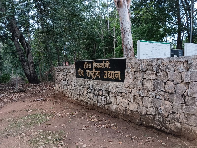 Anup Kumar Mahto (Bhutan Expert) on LinkedIn: This morning in Pench ... Anup Kumar Mahto (Bhutan Expert) on LinkedIn: This morning in Pench ...