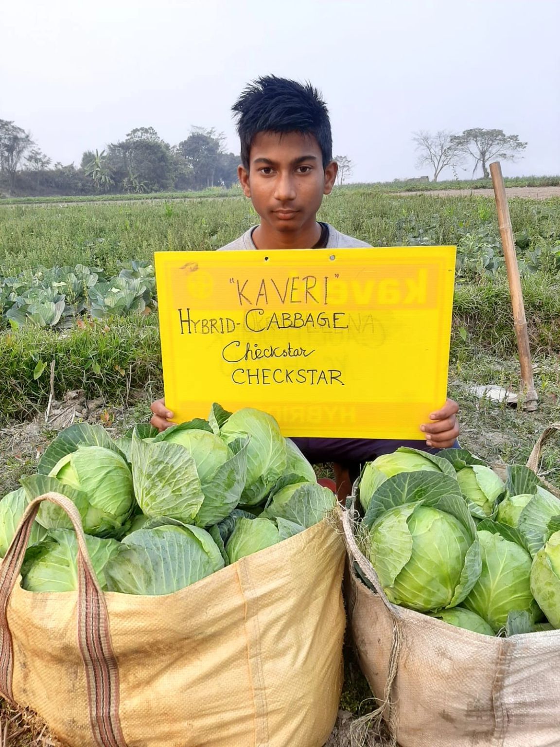 Ankit Mishra posted on LinkedIn Ankit Mishra posted on LinkedIn