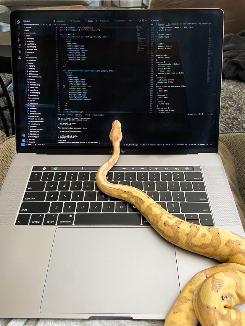 Dylan Wiseman on LinkedIn: #python #javascript Dylan Wiseman on LinkedIn: #python #javascript