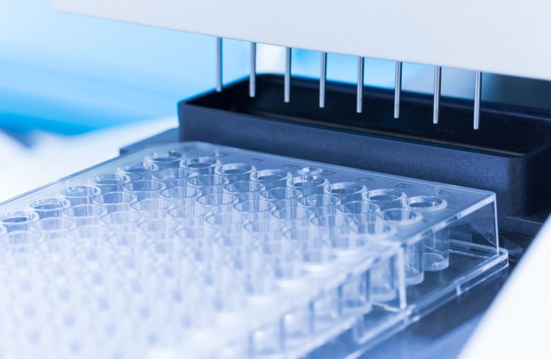Creative Enzymes on LinkedIn: Enzyme Discovery Creative Enzymes on LinkedIn: Enzyme Discovery