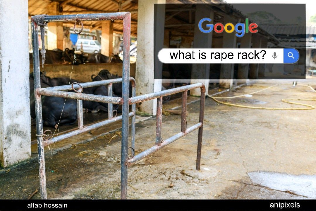Altab Hossain on LinkedIn: Please Google : What is Rape Rack? Altab Hossain on LinkedIn: Please Google : What is Rape Rack?