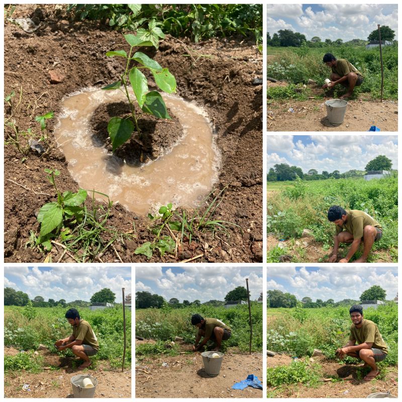 Gopi Krishna Muthyam on LinkedIn: #kapugallu #kodad #environmental Gopi Krishna Muthyam on LinkedIn: #kapugallu #kodad #environmental