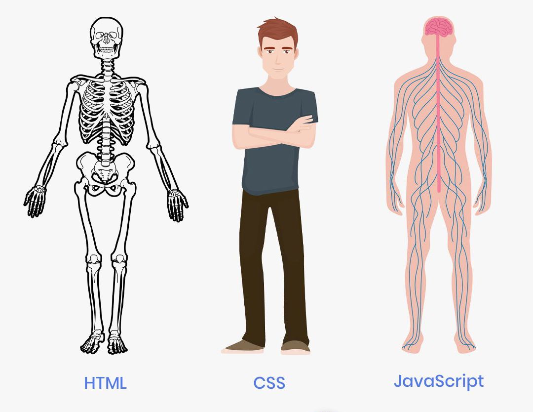 Muhammad Faisal on LinkedIn: #webdevjourney #webdevelopment # ... Muhammad Faisal on LinkedIn: #webdevjourney #webdevelopment # ...