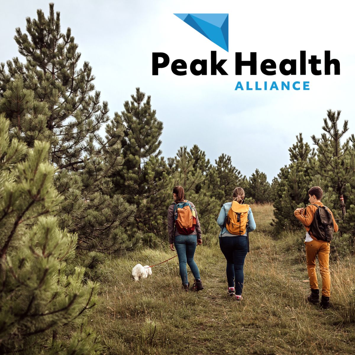 Peak Health Alliance on LinkedIn: Peak Health Alliance’s work starts ... Peak Health Alliance on LinkedIn: Peak Health Alliance’s work starts ...