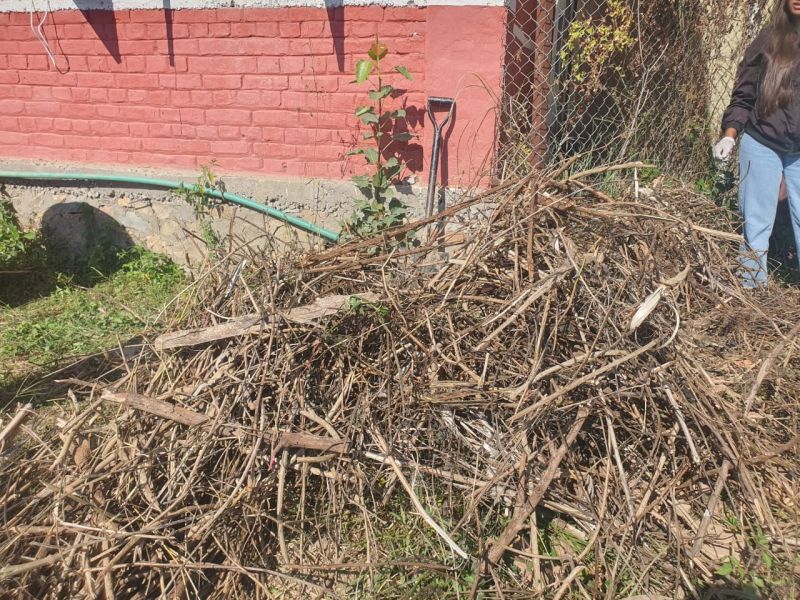 Sanskar Jangam on LinkedIn: #biochar #sustainableagriculture # ... Sanskar Jangam on LinkedIn: #biochar #sustainableagriculture # ...