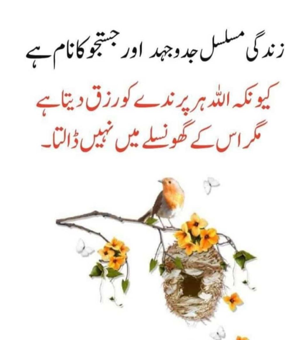 Rouf Wani posted on LinkedIn Rouf Wani posted on LinkedIn