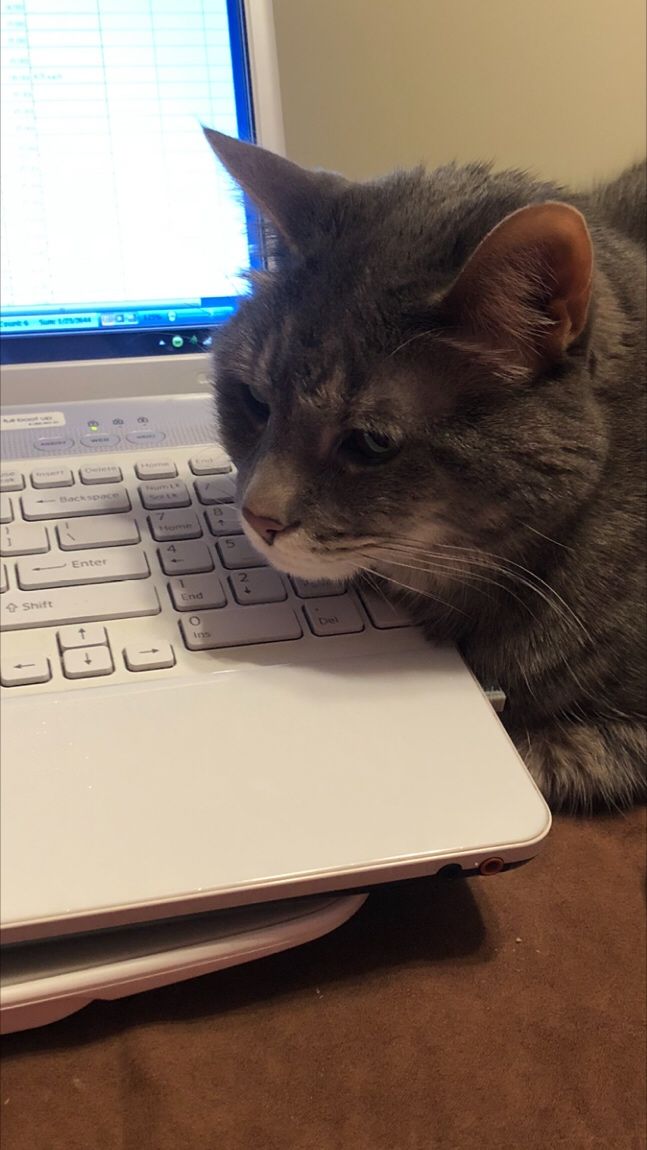 Kimberly Blevins on LinkedIn: Someone is in a micro-management mood ... Kimberly Blevins on LinkedIn: Someone is in a micro-management mood ...