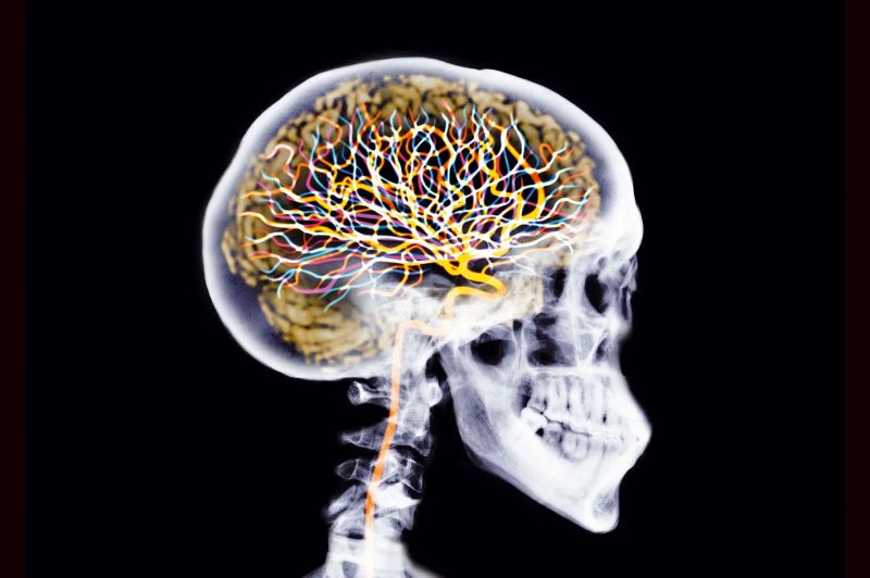 Vishwas Kshirsagar on LinkedIn: #neuralnetworks #datascience # ... Vishwas Kshirsagar on LinkedIn: #neuralnetworks #datascience # ...