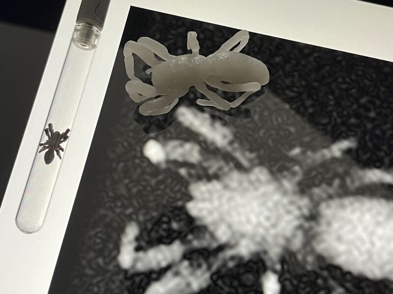 resonint on LinkedIn: Want to turn your MRI data into 3D prints? Check ... resonint on LinkedIn: Want to turn your MRI data into 3D prints? Check ...