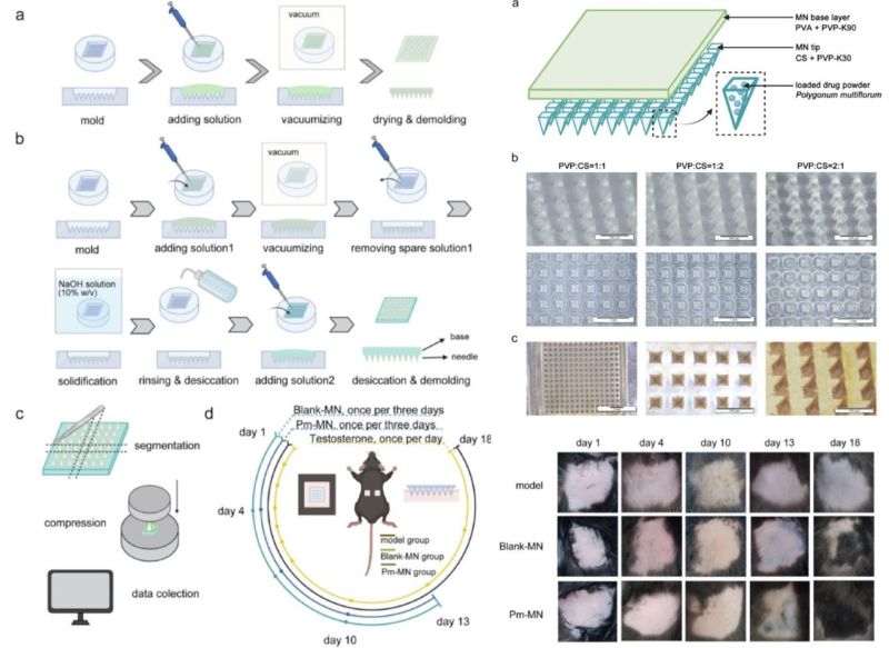 Medicine in Novel Technology and Devices on LinkedIn: Composite double ... Medicine in Novel Technology and Devices on LinkedIn: Composite double ...