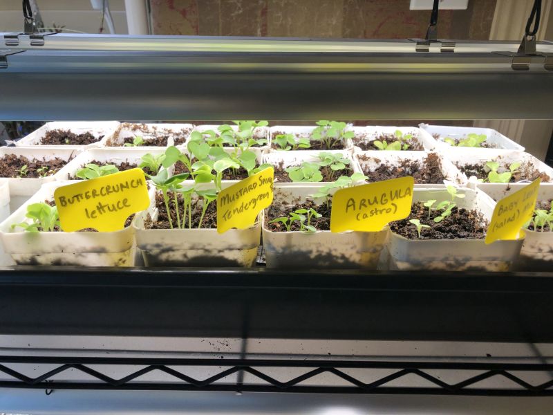 Kassandra Keeton on LinkedIn: #gardening Kassandra Keeton on LinkedIn: #gardening