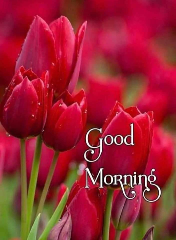 ARPAN KUMAR KUNDU posted on LinkedIn ARPAN KUMAR KUNDU posted on LinkedIn