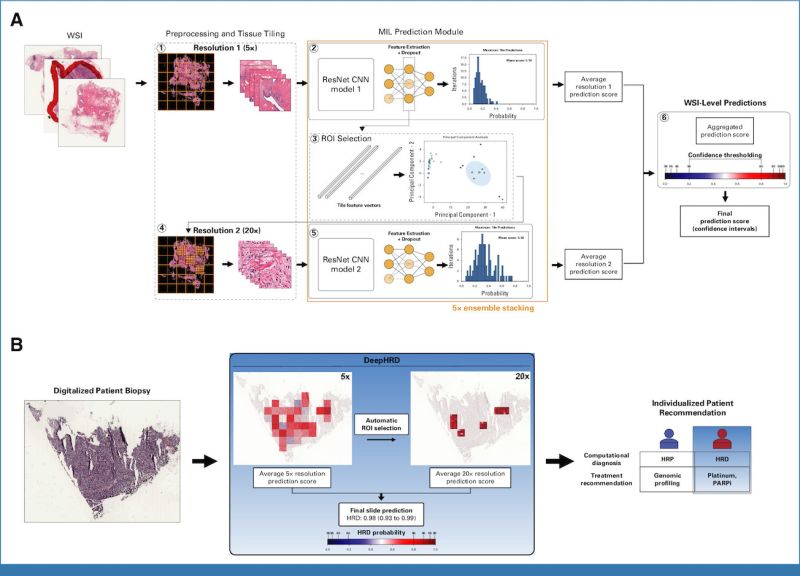 CBIRT, Centre of Bioinformatics Research & Tech on LinkedIn: #cancer # ... CBIRT, Centre of Bioinformatics Research & Tech on LinkedIn: #cancer # ...