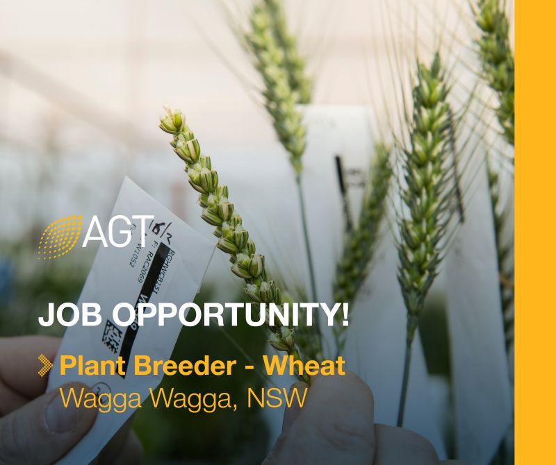 Australian Grain Technologies on LinkedIn: Job opportunity! Plant ... Australian Grain Technologies on LinkedIn: Job opportunity! Plant ...