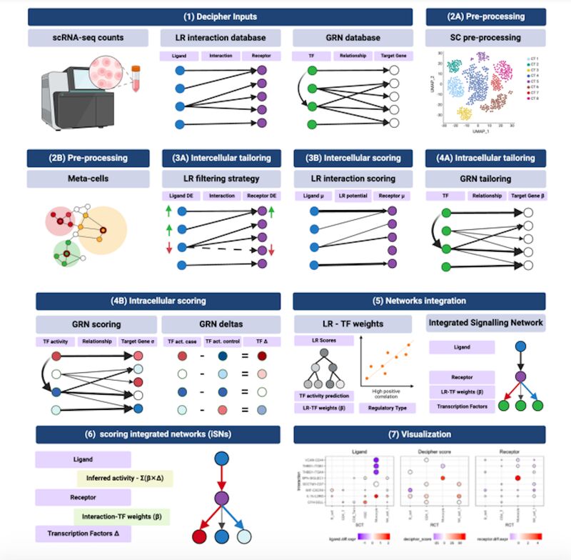 CBIRT, Centre of Bioinformatics Research & Tech on LinkedIn: #decipher ... CBIRT, Centre of Bioinformatics Research & Tech on LinkedIn: #decipher ...