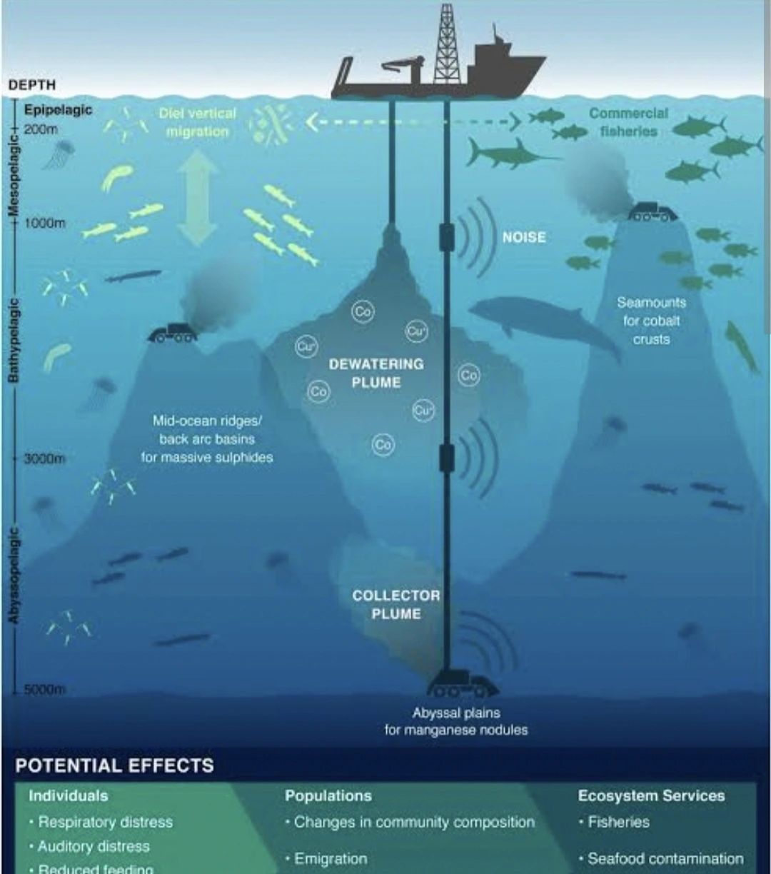 (Raj Tony)vennela teja Gunti on LinkedIn: DEEP SEA ⛵ MINING ⛏️ SEVERE ... (Raj Tony)vennela teja Gunti on LinkedIn: DEEP SEA ⛵ MINING ⛏️ SEVERE ...