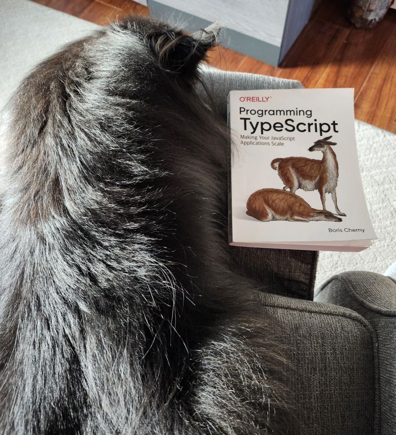 Mindi Weik on LinkedIn: #programmingtypescript #softwareengineering # ... Mindi Weik on LinkedIn: #programmingtypescript #softwareengineering # ...