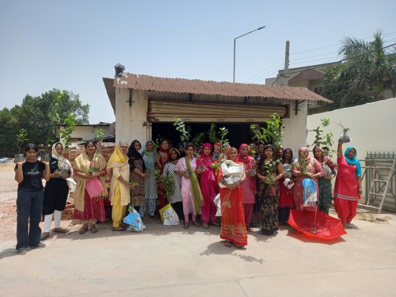 Prashant Pal on LinkedIn: #worldenvironmentday #trees # ... Prashant Pal on LinkedIn: #worldenvironmentday #trees # ...