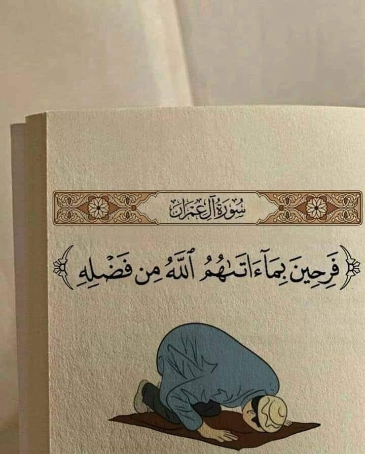 Mohamed Saied on LinkedIn: For You 🤍 Mohamed Saied on LinkedIn: For You 🤍