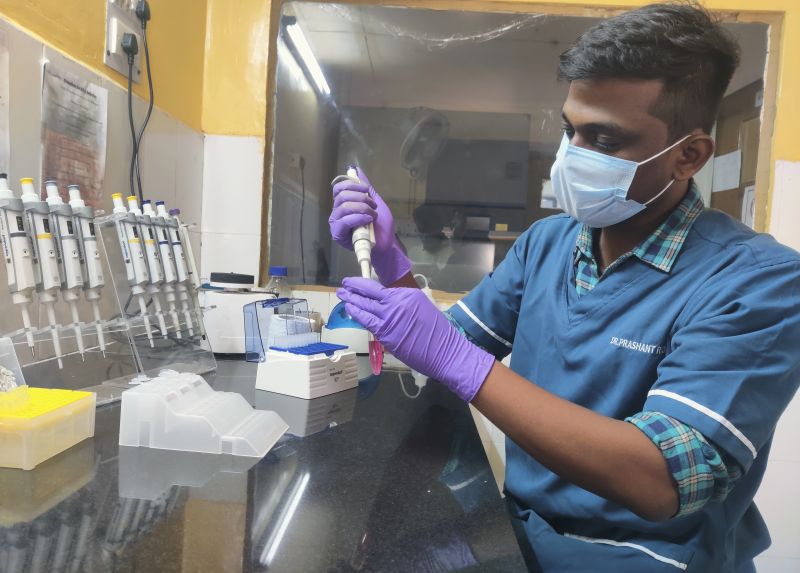 Dr Prashant Rokade on LinkedIn: Optimized Protocol for High-Quality RNA ... Dr Prashant Rokade on LinkedIn: Optimized Protocol for High-Quality RNA ...
