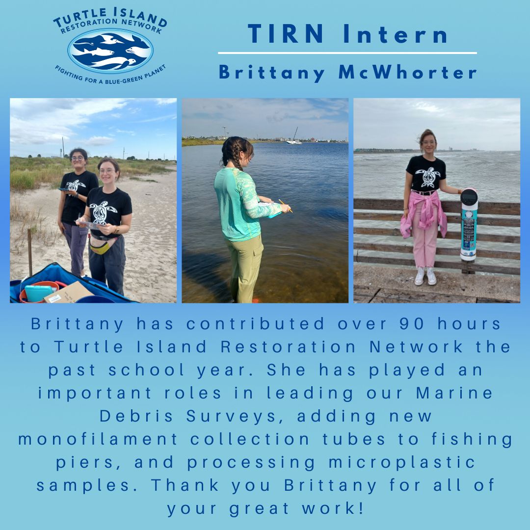 Turtle Island Restoration Network (TIRN) on LinkedIn: #tirn # ... Turtle Island Restoration Network (TIRN) on LinkedIn: #tirn # ...