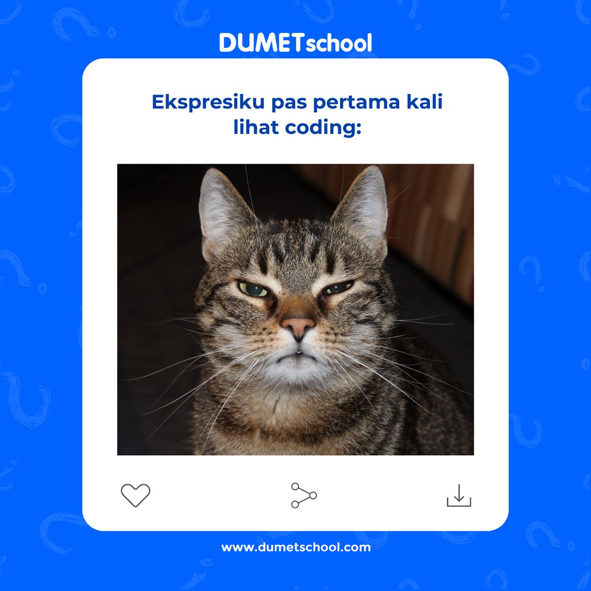 DUMET School on LinkedIn: #dumetschool #meme #coding DUMET School on LinkedIn: #dumetschool #meme #coding