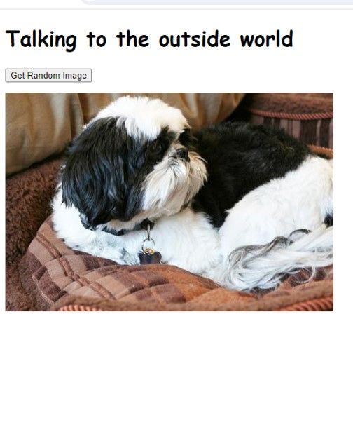 KRISH ... on LinkedIn: #dogimage #fetchbutton #javascript # ... KRISH ... on LinkedIn: #dogimage #fetchbutton #javascript # ...