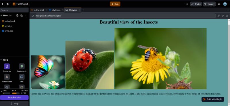 Rudhra Mohan on LinkedIn: I'm glad to share the first task in my Web ... Rudhra Mohan on LinkedIn: I'm glad to share the first task in my Web ...
