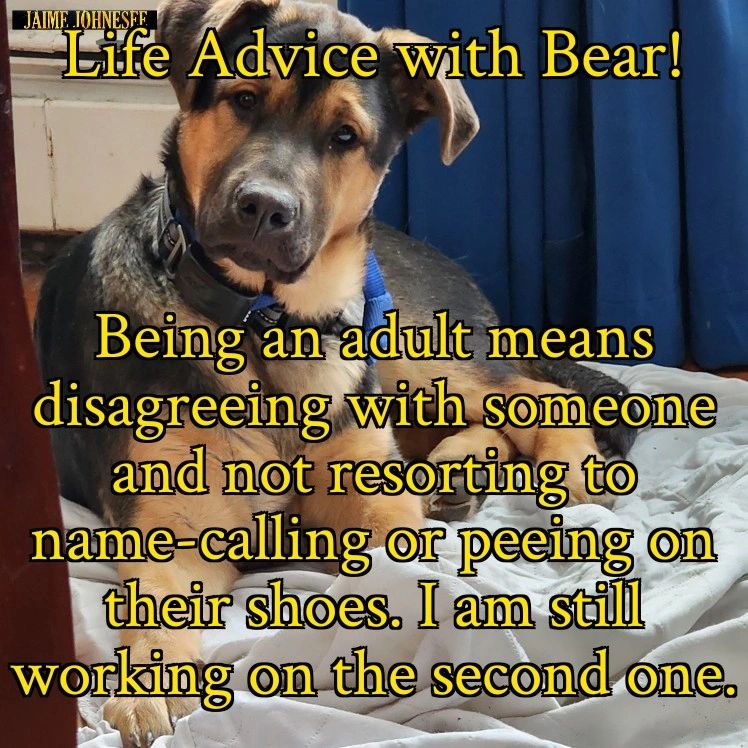 Jaime Johnesee on LinkedIn: #memes #puppy #cutedogs #funnymemes # ... Jaime Johnesee on LinkedIn: #memes #puppy #cutedogs #funnymemes # ...