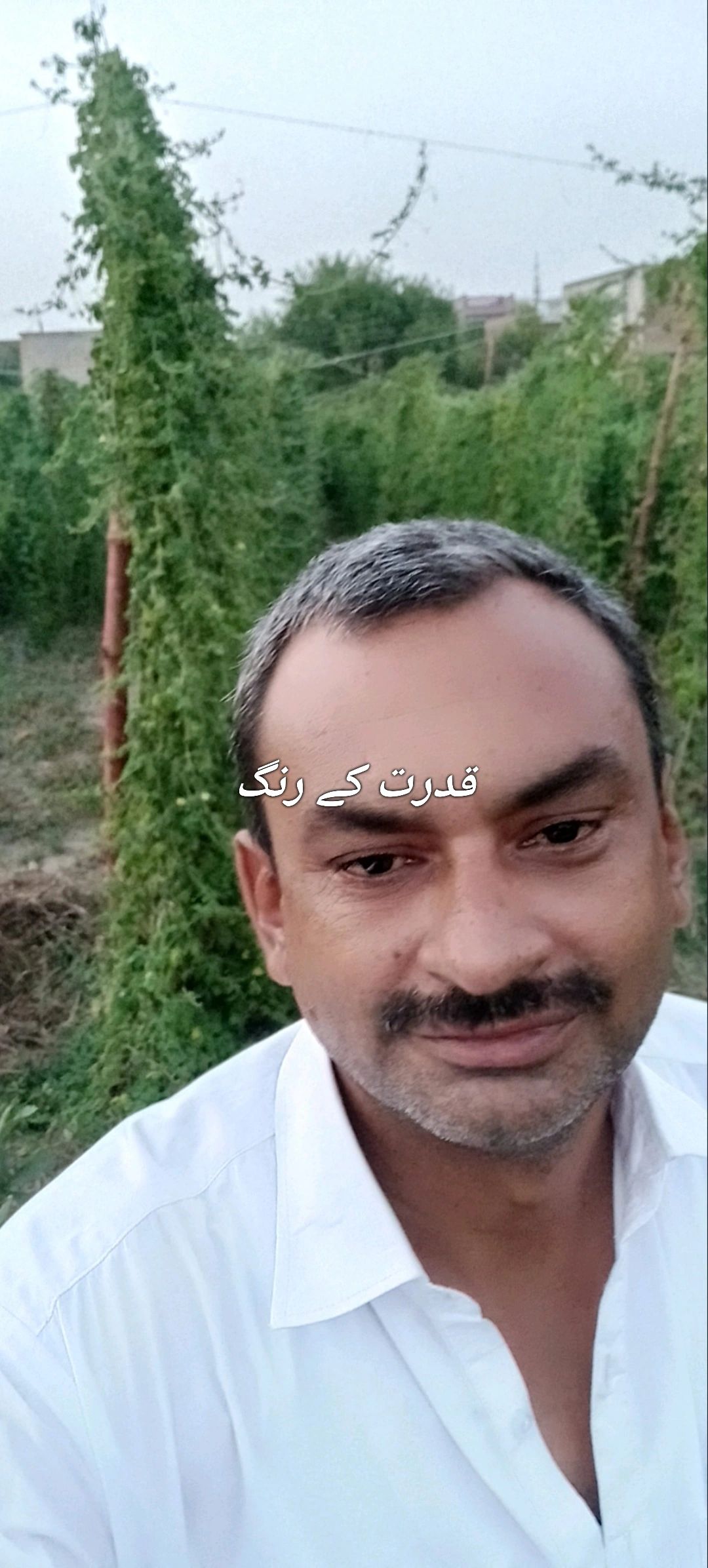 M Naseer posted on LinkedIn M Naseer posted on LinkedIn